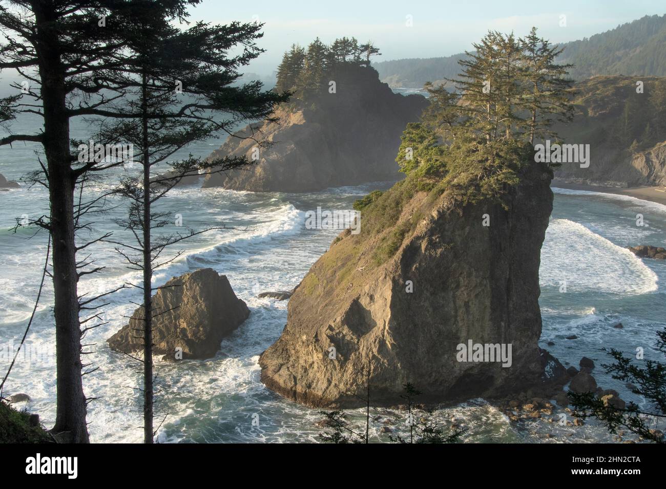 Sea stacks, Samuel H. Boardman State Scenic Corridor, Oregon Stock ...