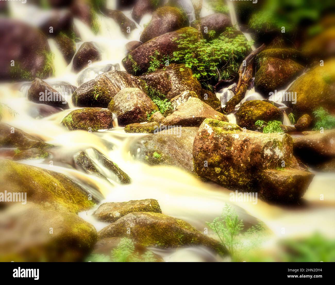 Superb Becky Falls, Water rushing through ancient woodland, natural ...