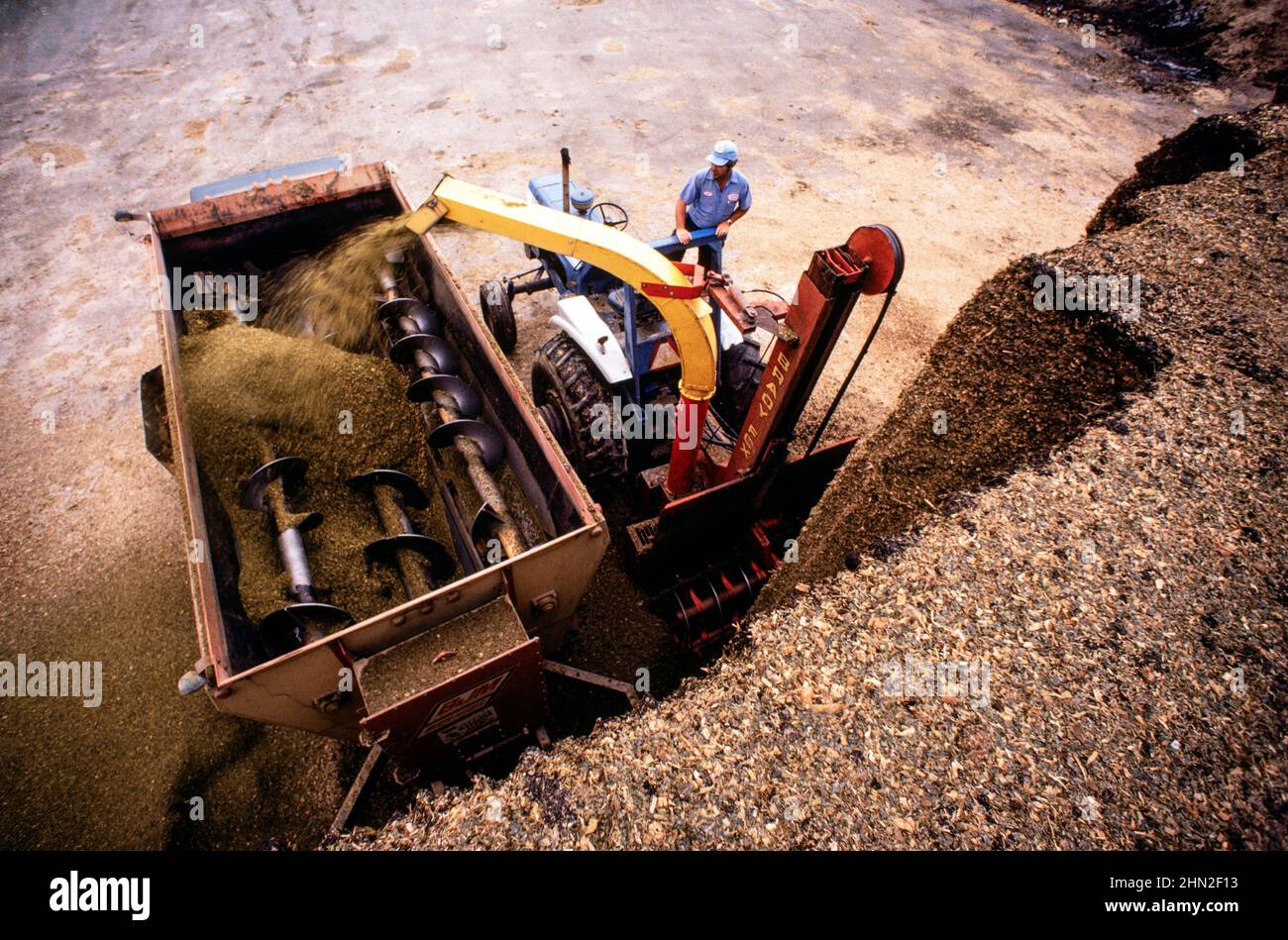 Farmer putting grain silage worker fodder crops feed hi-res stock ...