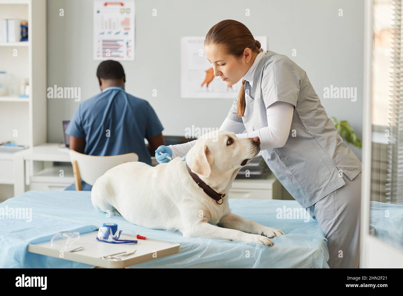 Woman bending over table hi-res stock photography and images - Alamy