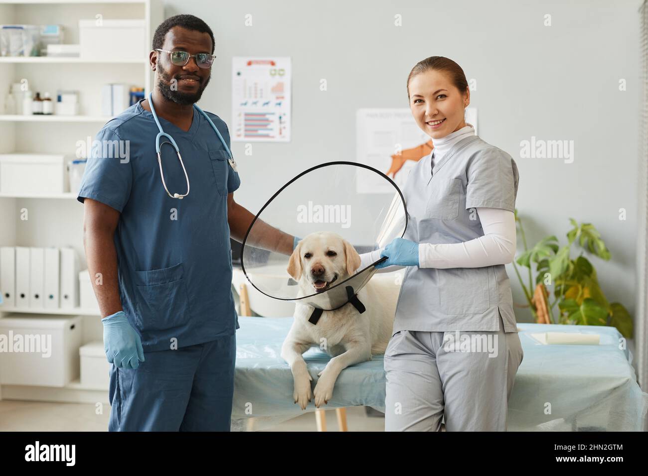 Veterinary clinic assistant hi-res stock photography and images - Alamy