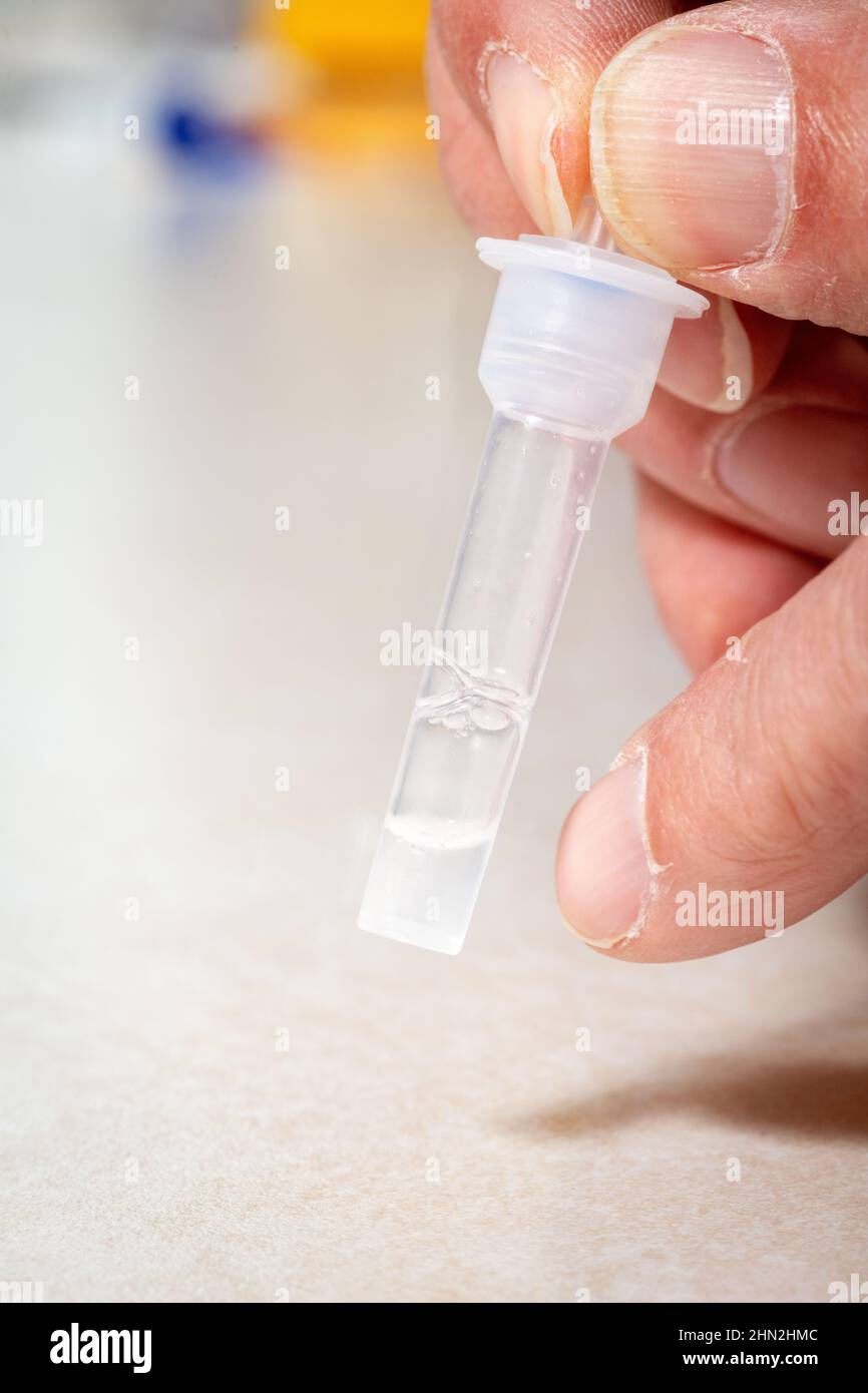 Vial of a covid test mixing content by shaking Stock Photo - Alamy
