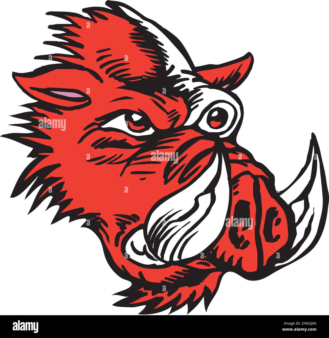 Razorback vector vectors hi-res stock photography and images - Alamy