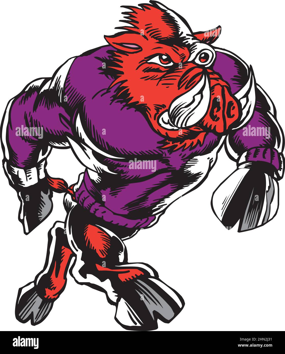 Razorback Mascot Strut Vector Illustration Stock Vector Image & Art - Alamy