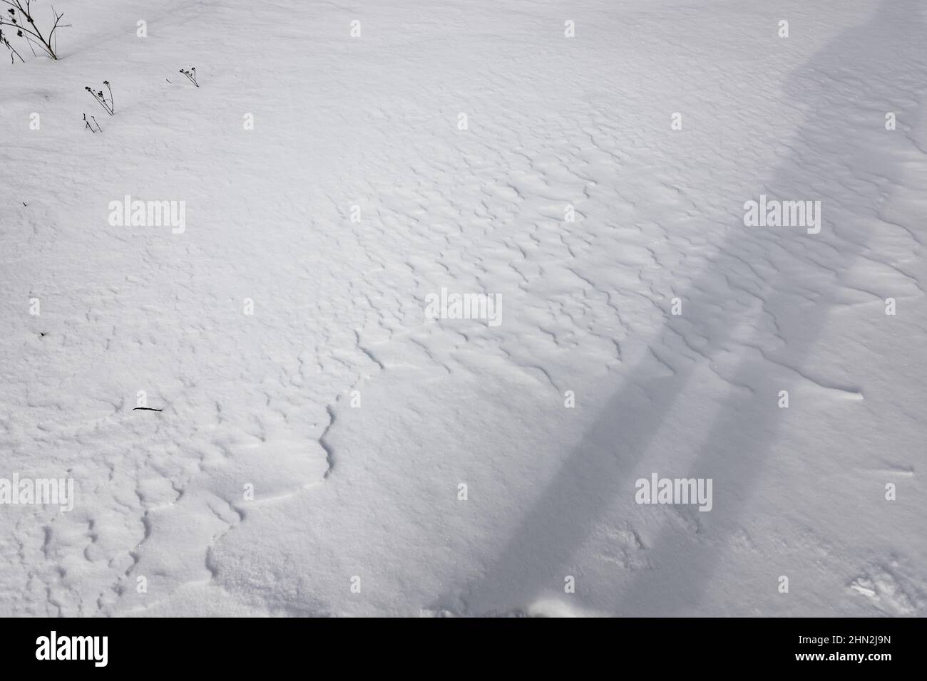 The shadow of a man in the snow. Black and white photography. Winter ...