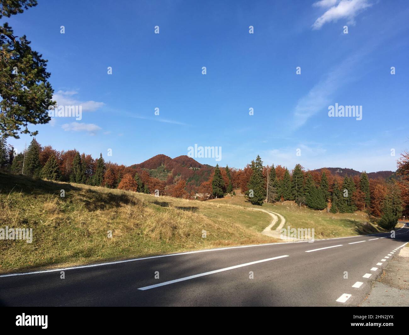Long winding road trail through fields with autumn trees under a blue ...