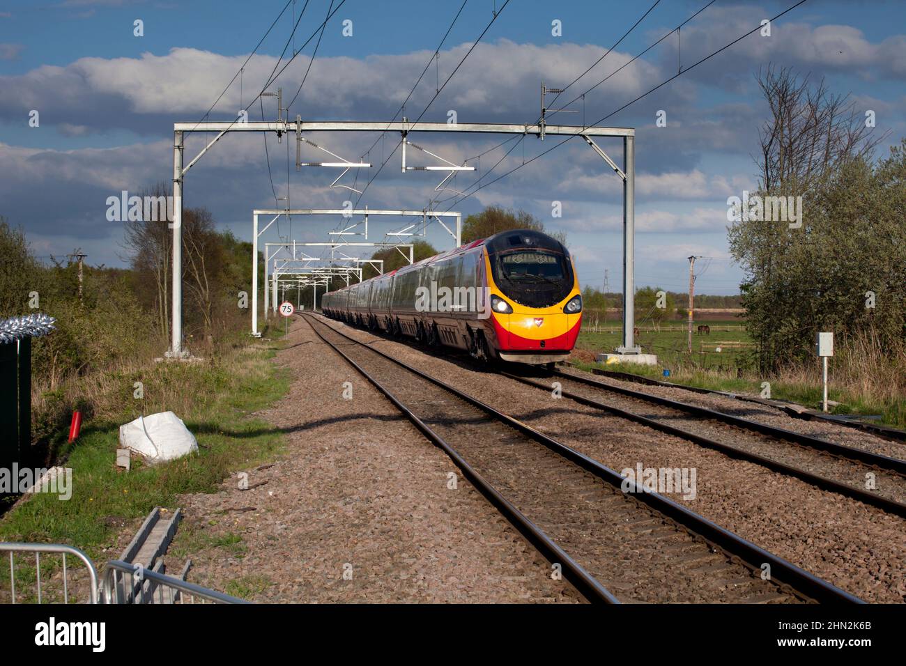 Chat moss line hi-res stock photography and images - Alamy