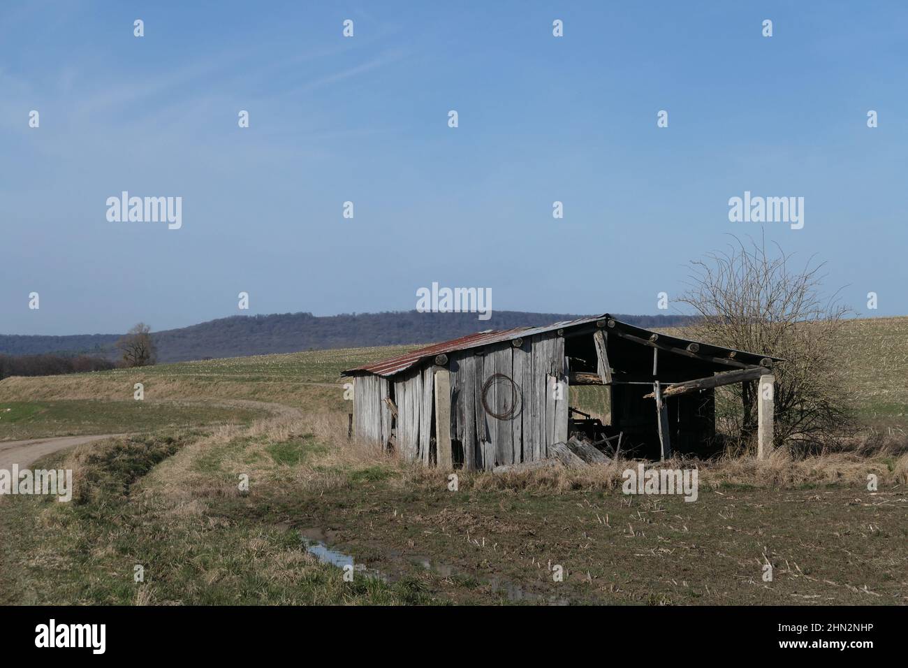 Terrain Abandonné à Vendre