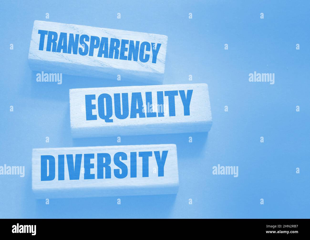 Transparency Equality diversity words on long wooden blocks on black ...