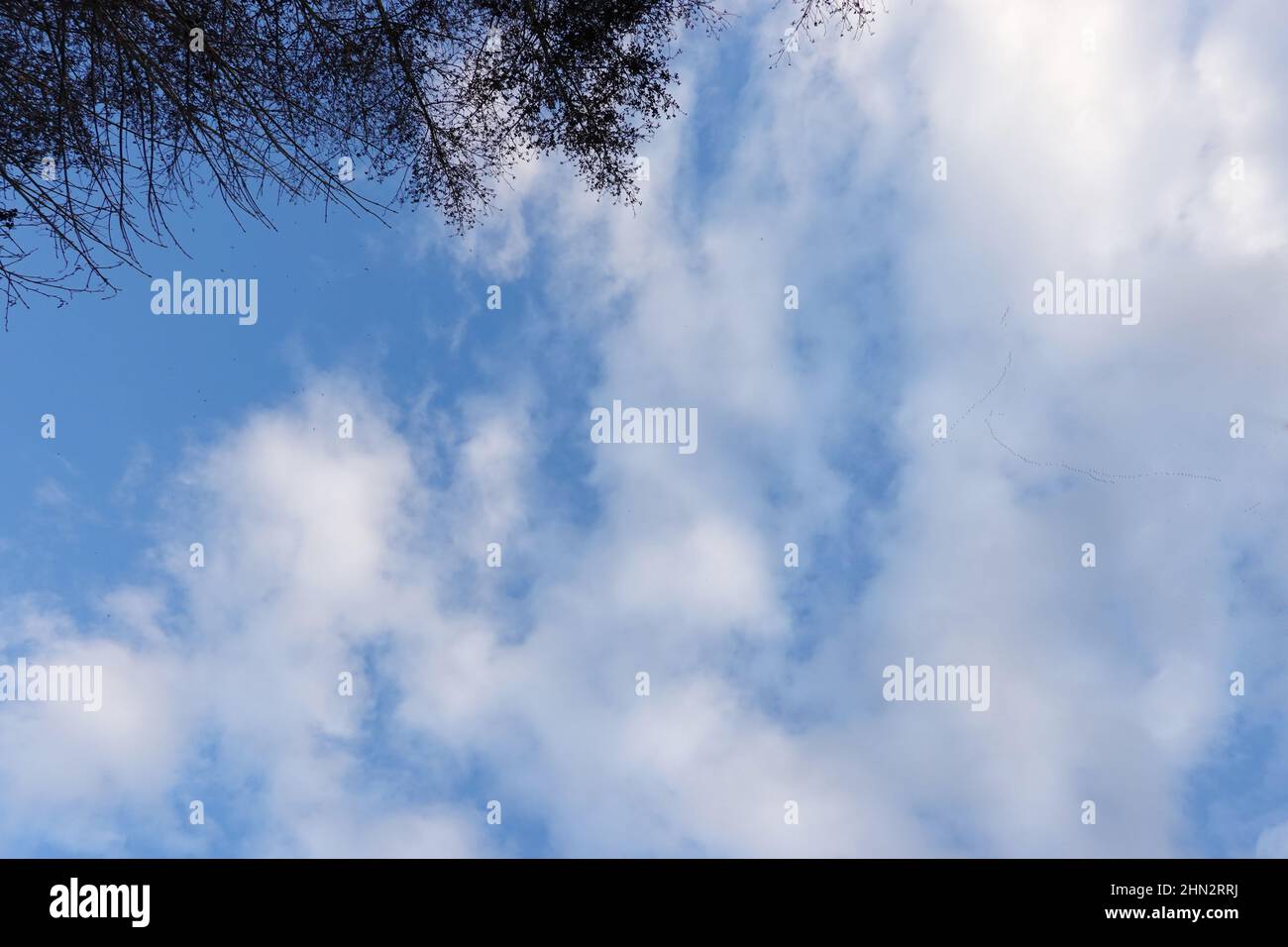 Blue sky with slight white clouds hi-res stock photography and images ...