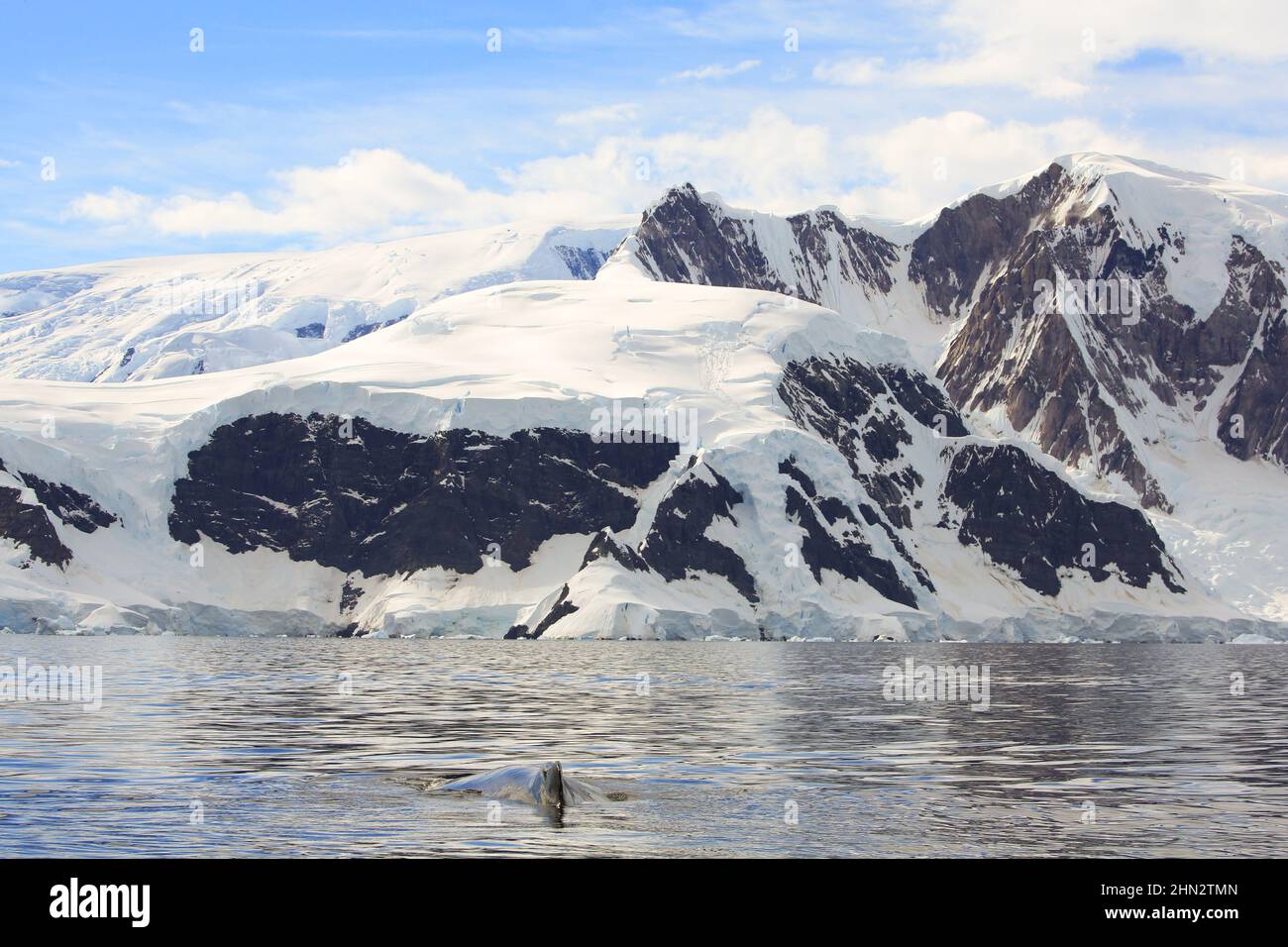Ponant ship antarctica hi-res stock photography and images - Alamy