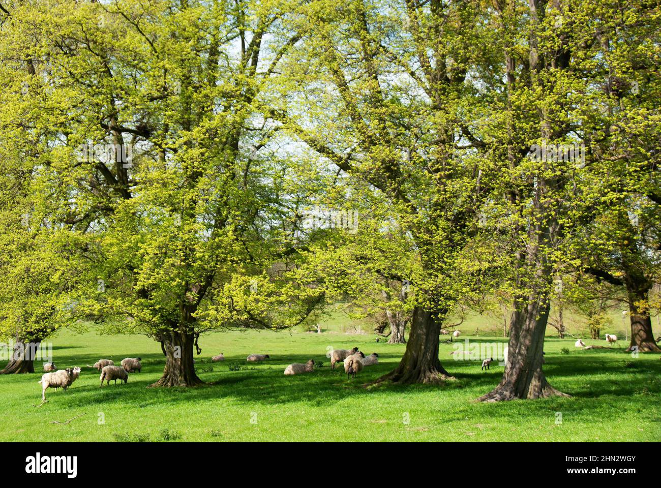 Sense of spring hi-res stock photography and images - Alamy