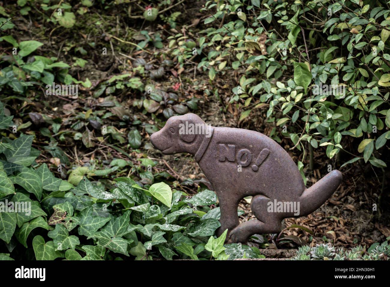 Pooping dog sign with an inscription 'no!' in a park Stock Photo - Alamy