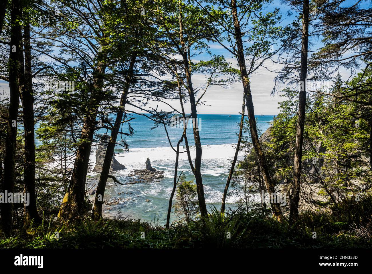 South coast trail hi-res stock photography and images - Alamy