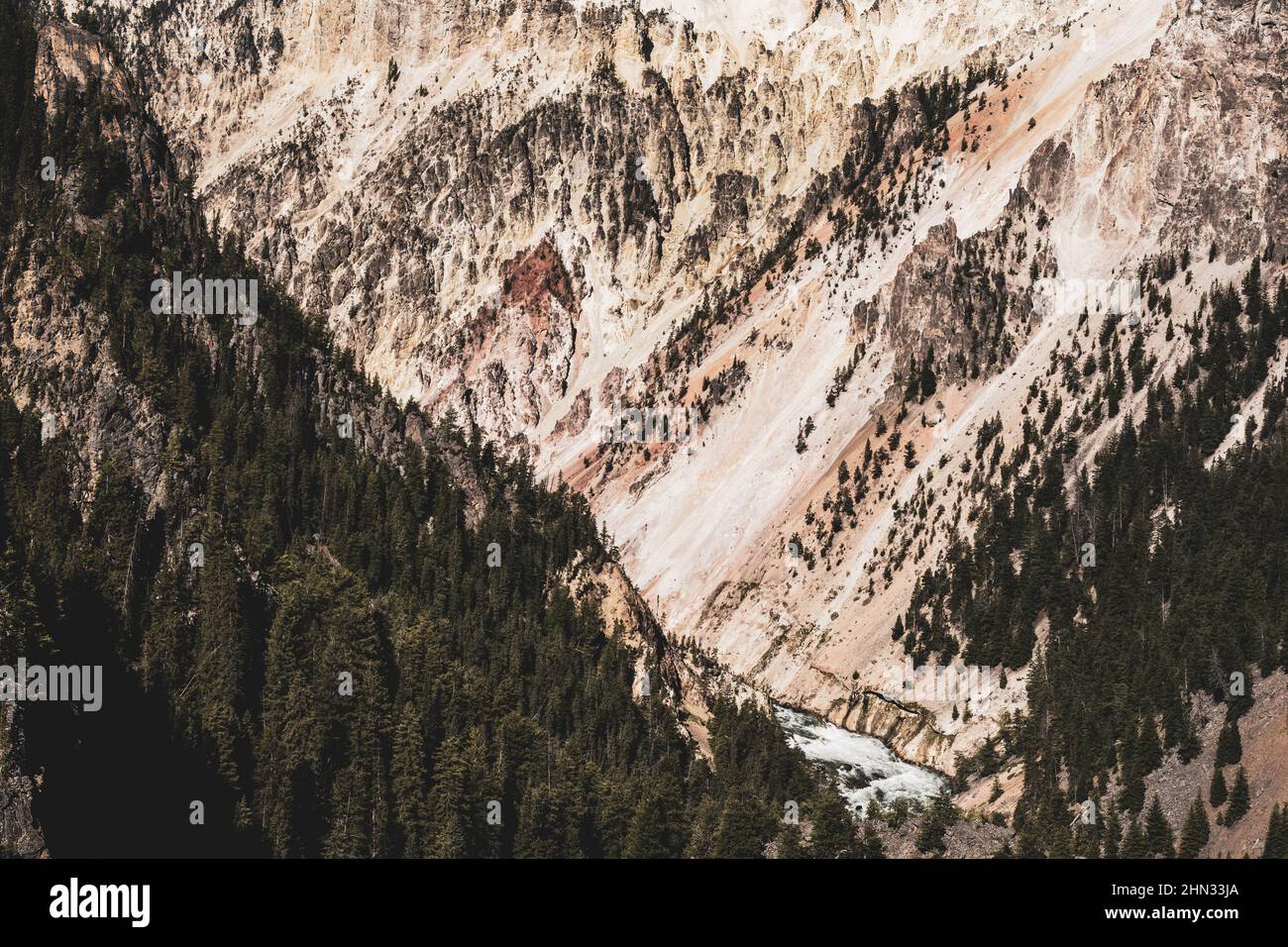 Steep Canyon Walls Slide Down Toward the Yellowstone River in Summer ...