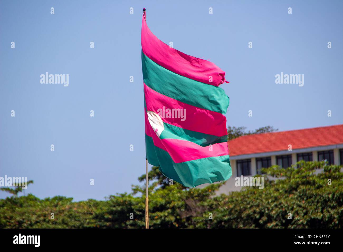 flag in green and pink, in honor of the mango samba school, with a blue ...