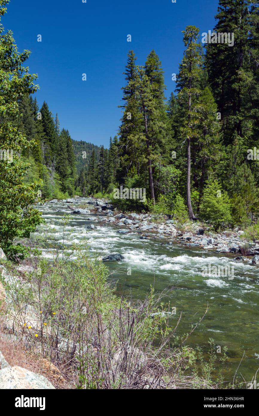 A rapidly flowing section of the Wild and Scenic Trinity River near ...