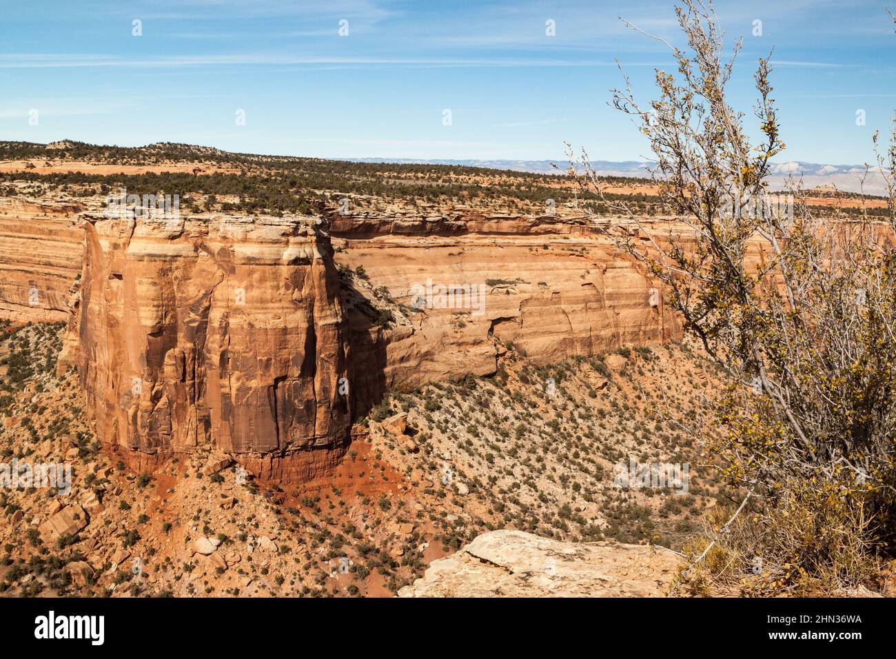 View of the massive cliff face at a corner of Ute Canyon in Colorado ...