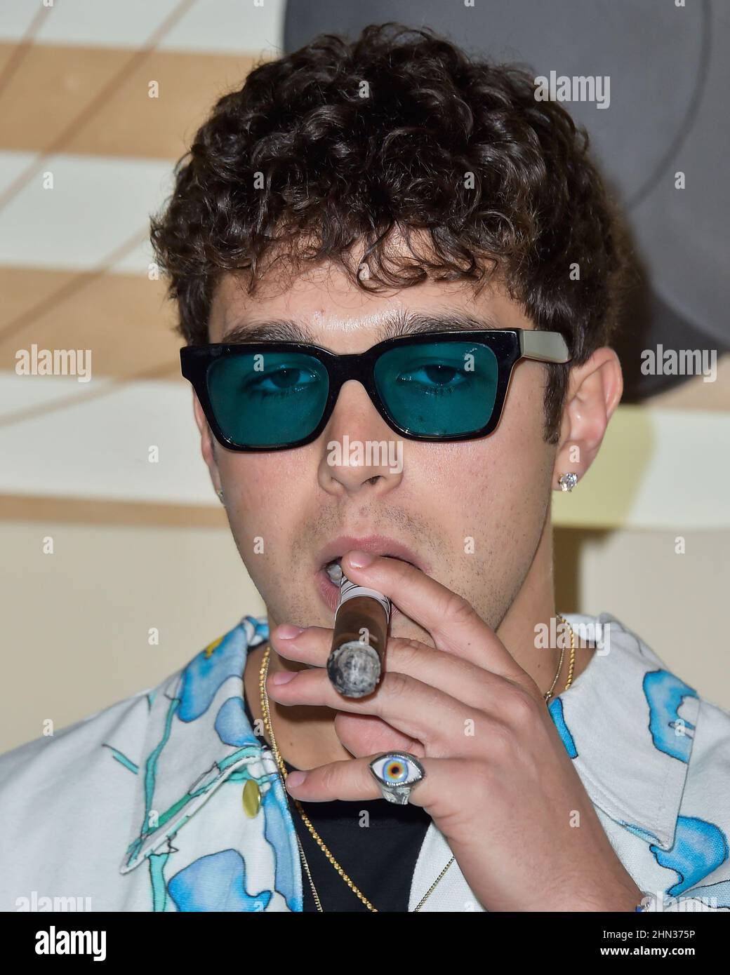 WEST HOLLYWOOD, LOS ANGELES, CALIFORNIA, USA - FEBRUARY 12: American ...