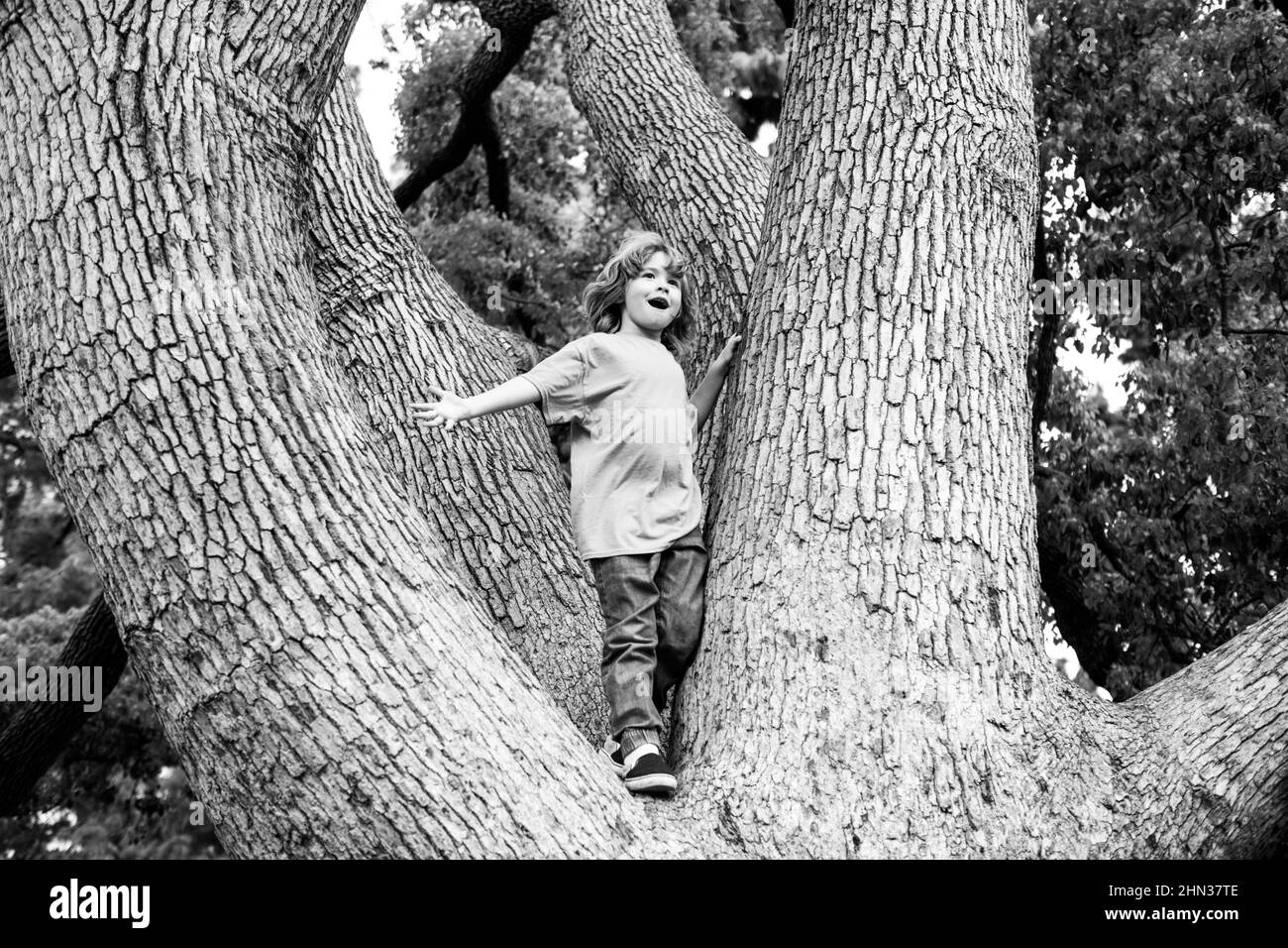 Children climbing tree Black and White Stock Photos & Images - Alamy