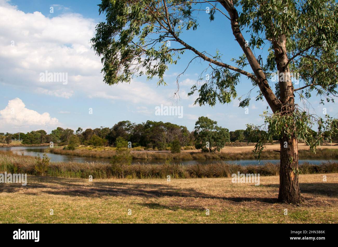 Nature reserve beside Mordialloc Creek in suburban Melbourne Stock ...