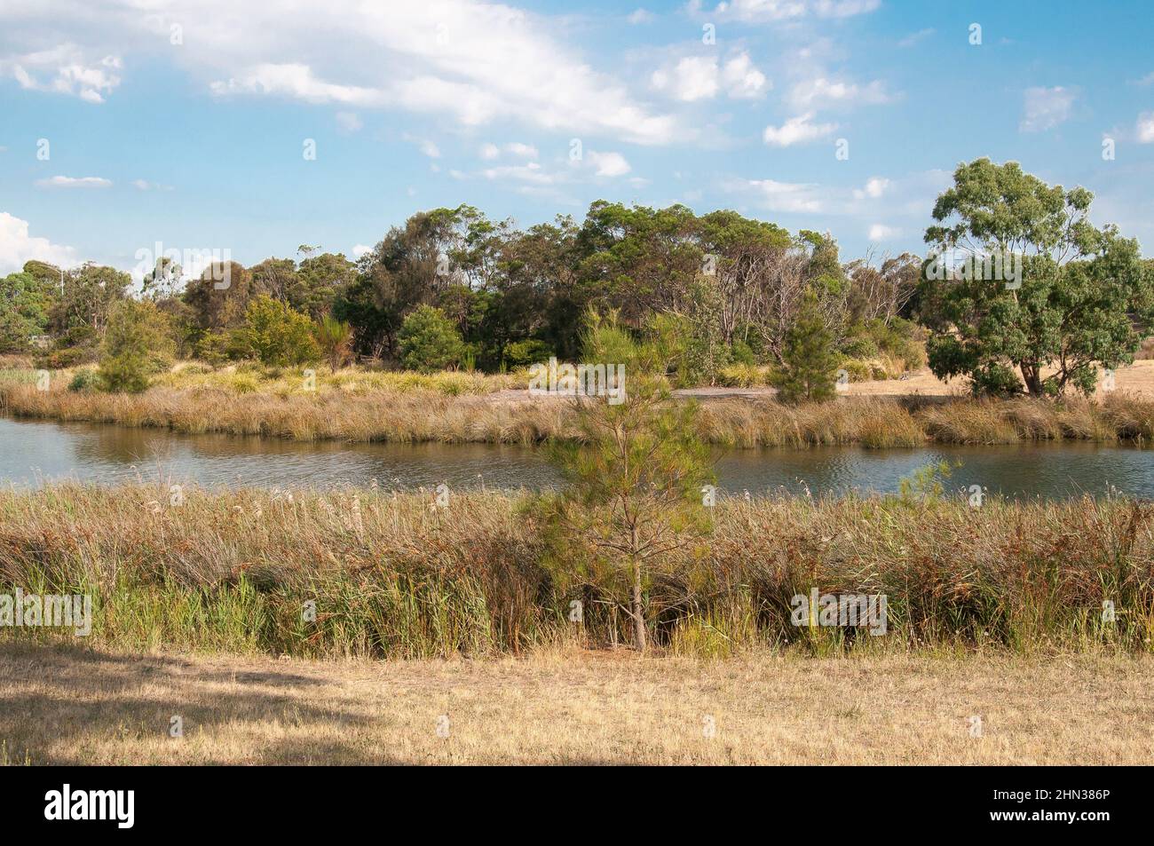 Nature reserve beside Mordialloc Creek in suburban Melbourne Stock ...