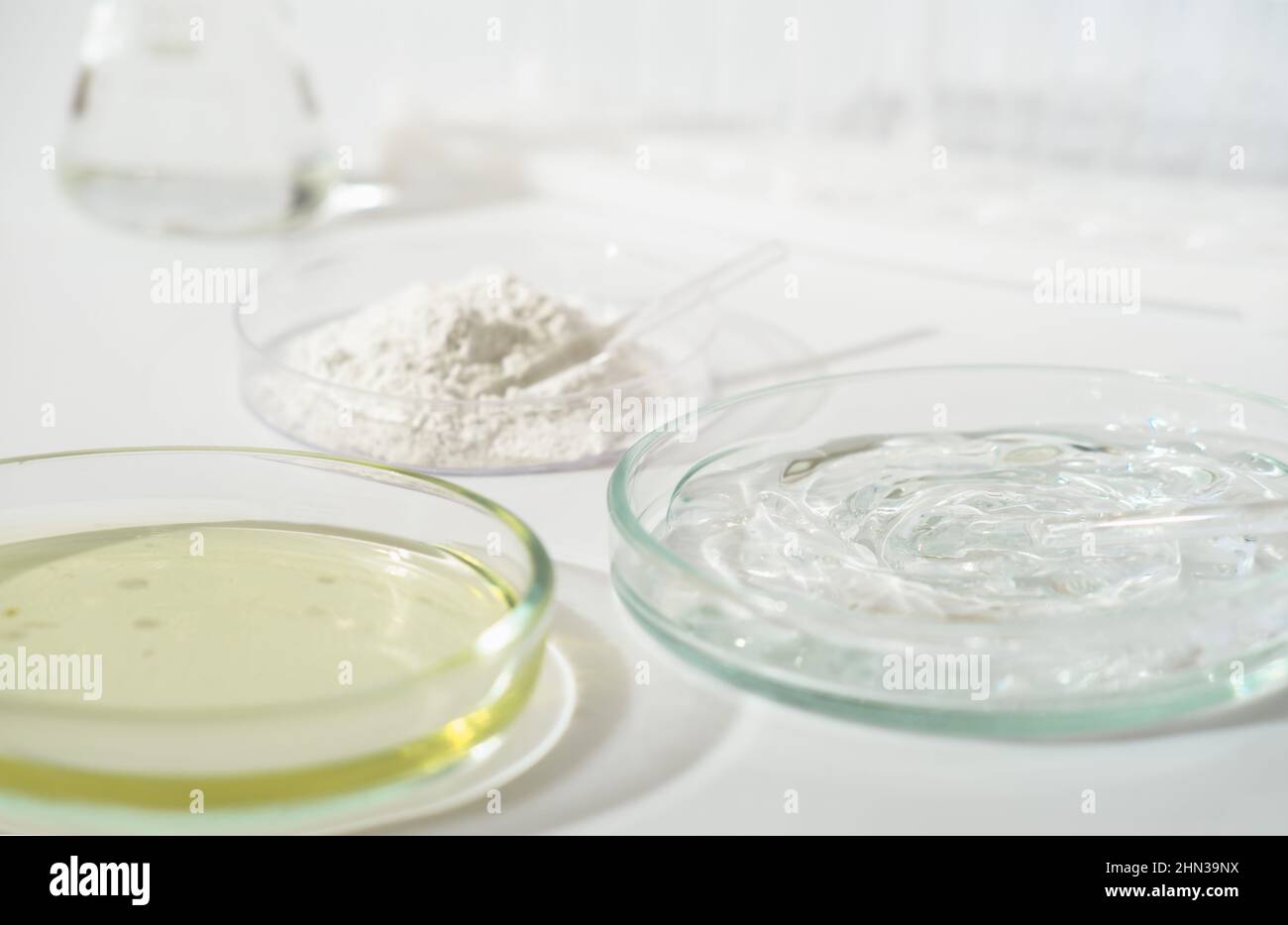 laboratory petri dishes with growth medium or culture medium and powder ...