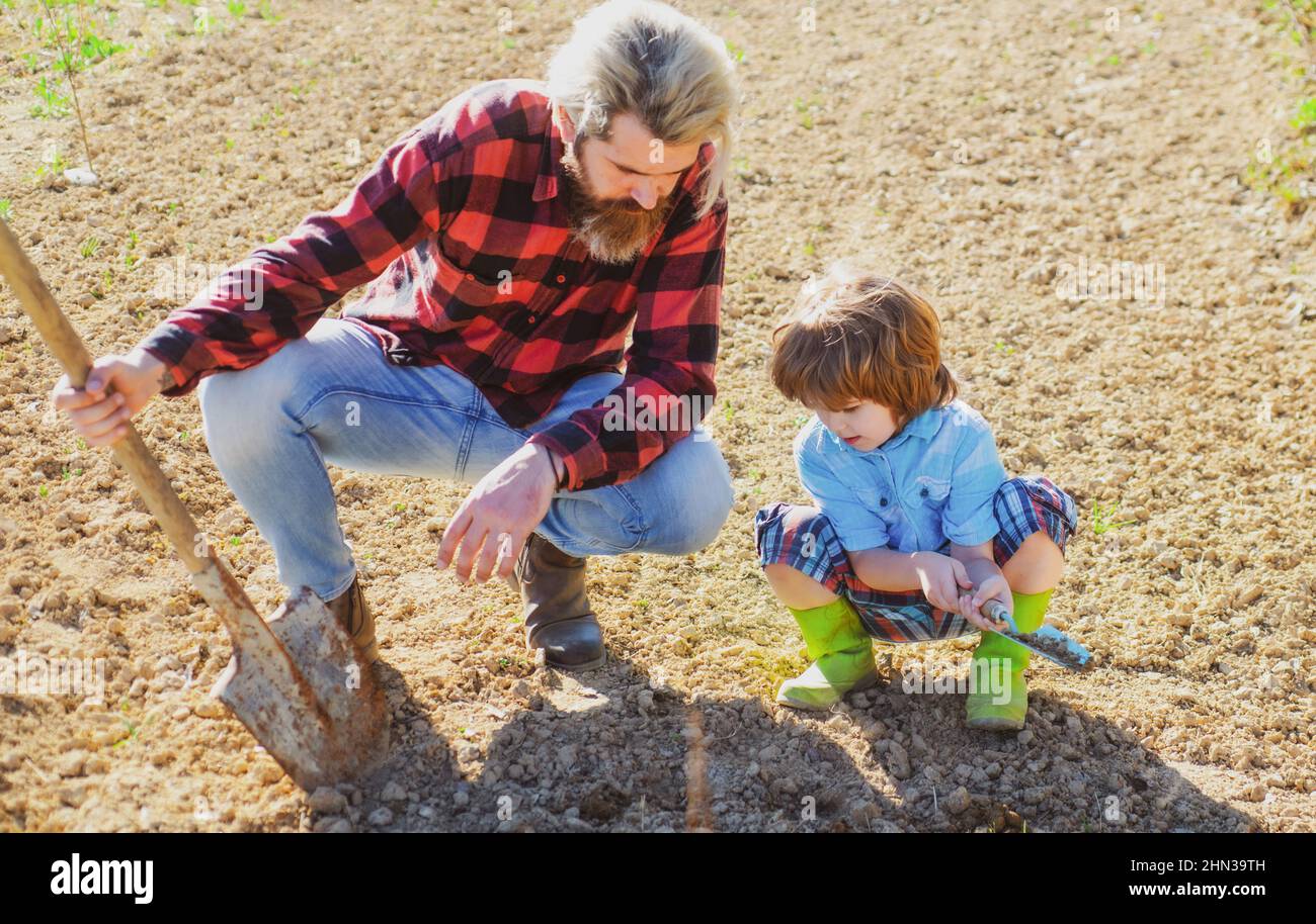 Family planting a tree. Son helping father. Dad and kid gardening in ...