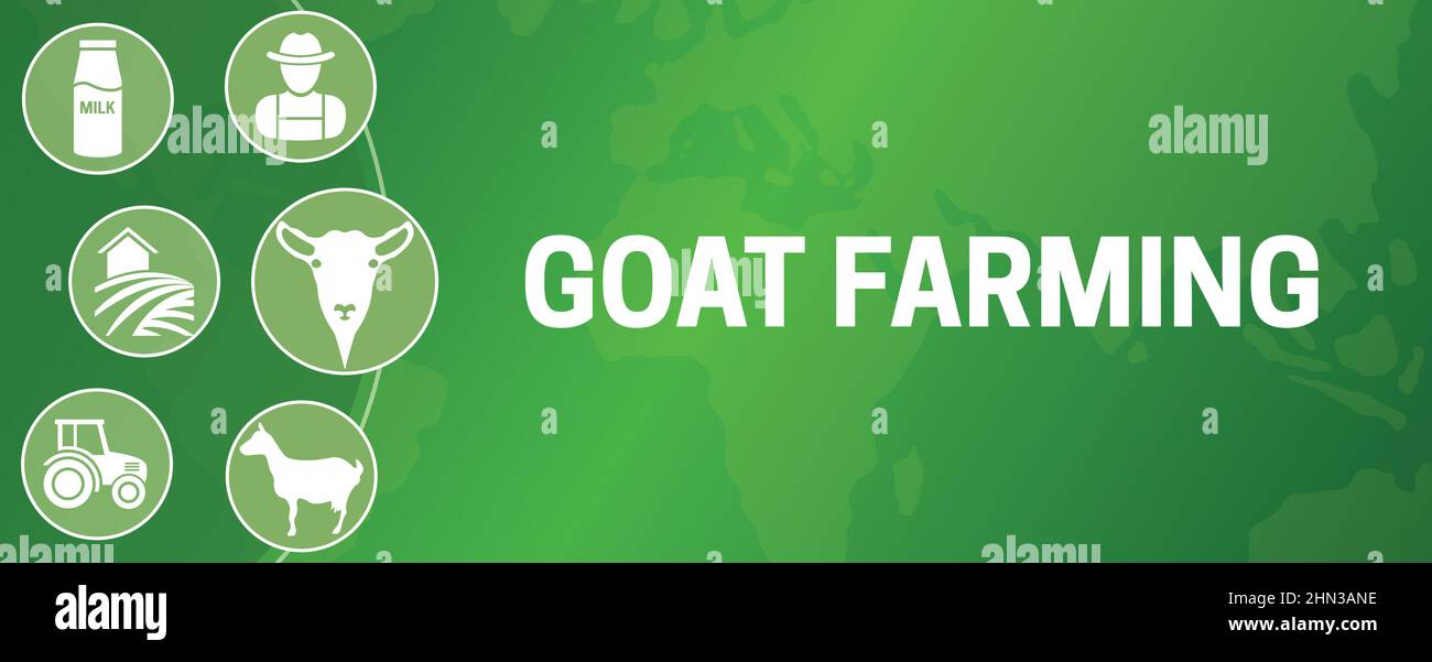 Goat Farming Illustration Banner Stock Vector Image & Art - Alamy