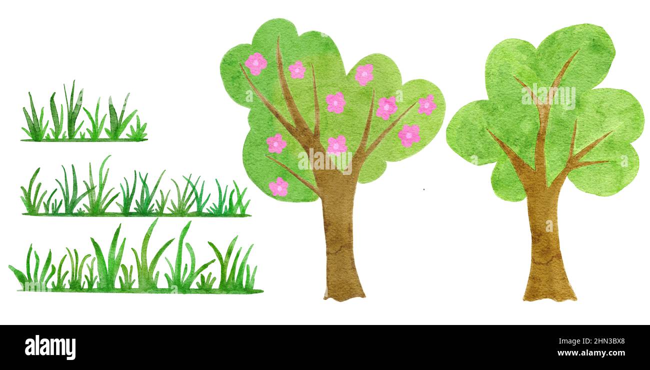hand drawn watercolor illustration set of green summer spring tree with ...