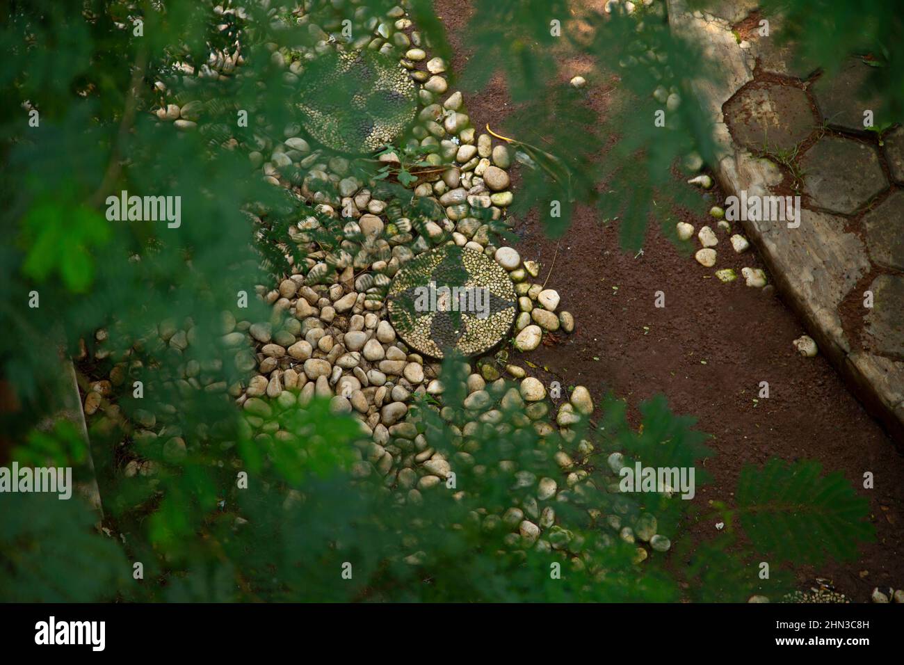 Stone path through lawn hi-res stock photography and images - Alamy