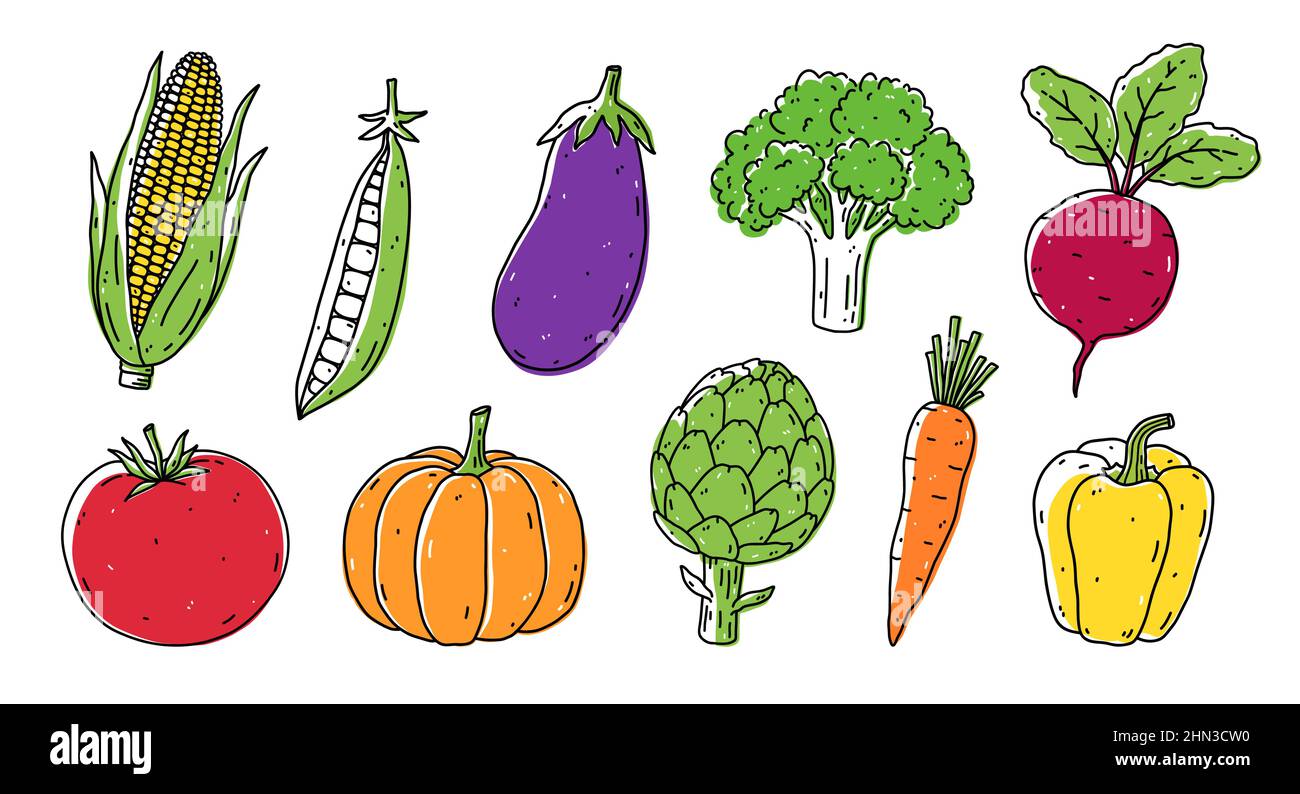 A set of vegetables - corn, peas, eggplant, broccoli, beetroot, tomato ...