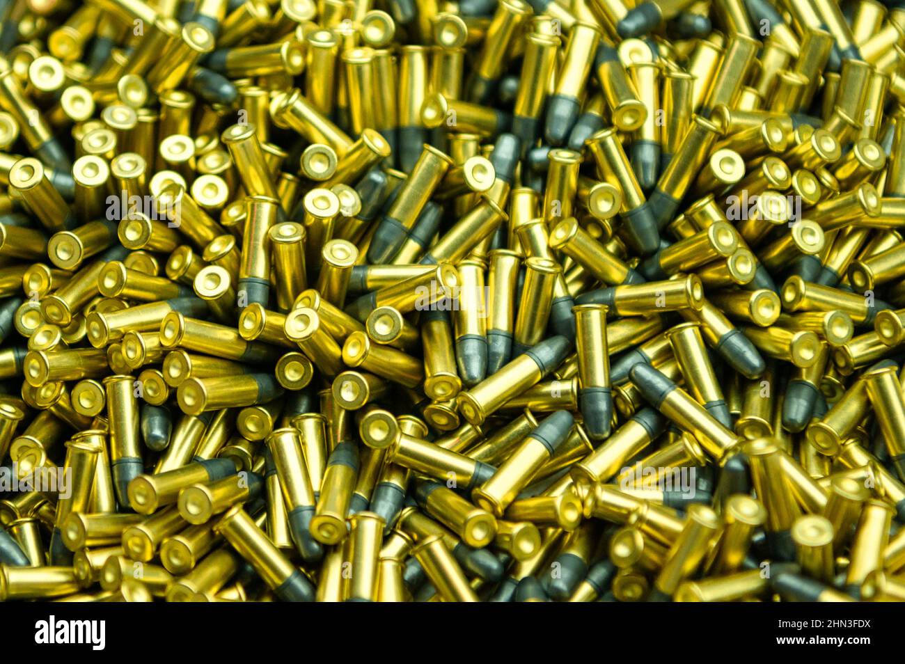 Black golden shell hi-res stock photography and images - Alamy