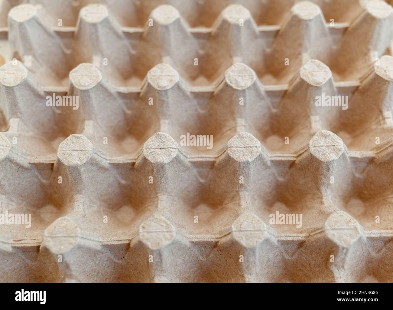 Protective cardboard packaging for storing eggs. Empty biodegradable ...