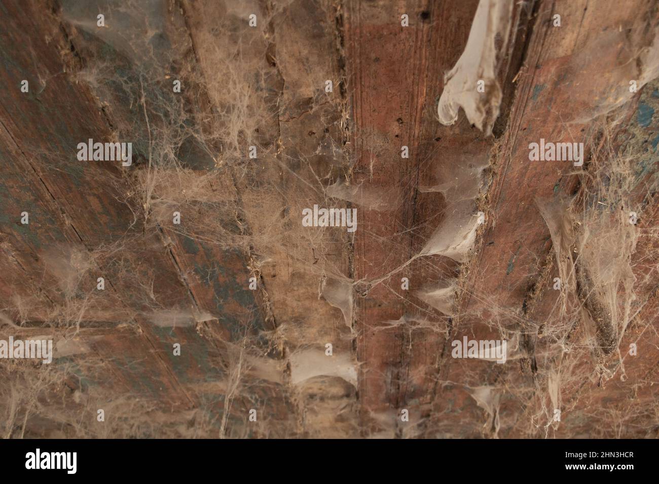 Ceiling cobweb hi-res stock photography and images - Alamy