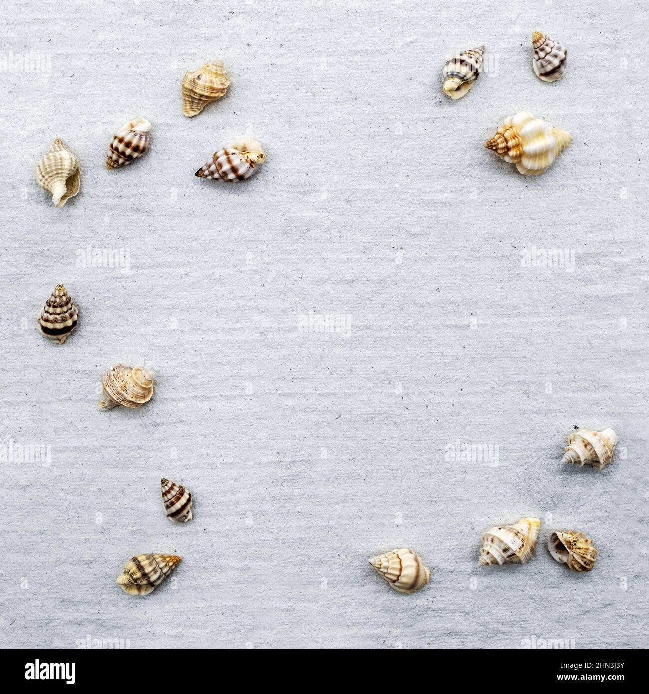 various emtpy snail shells on handmade paper Stock Photo - Alamy