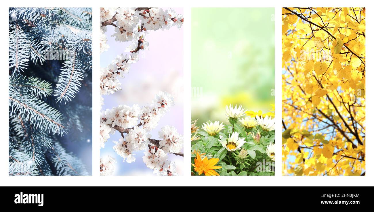 Four seasons of year. Set of vertical nature banners with winter ...