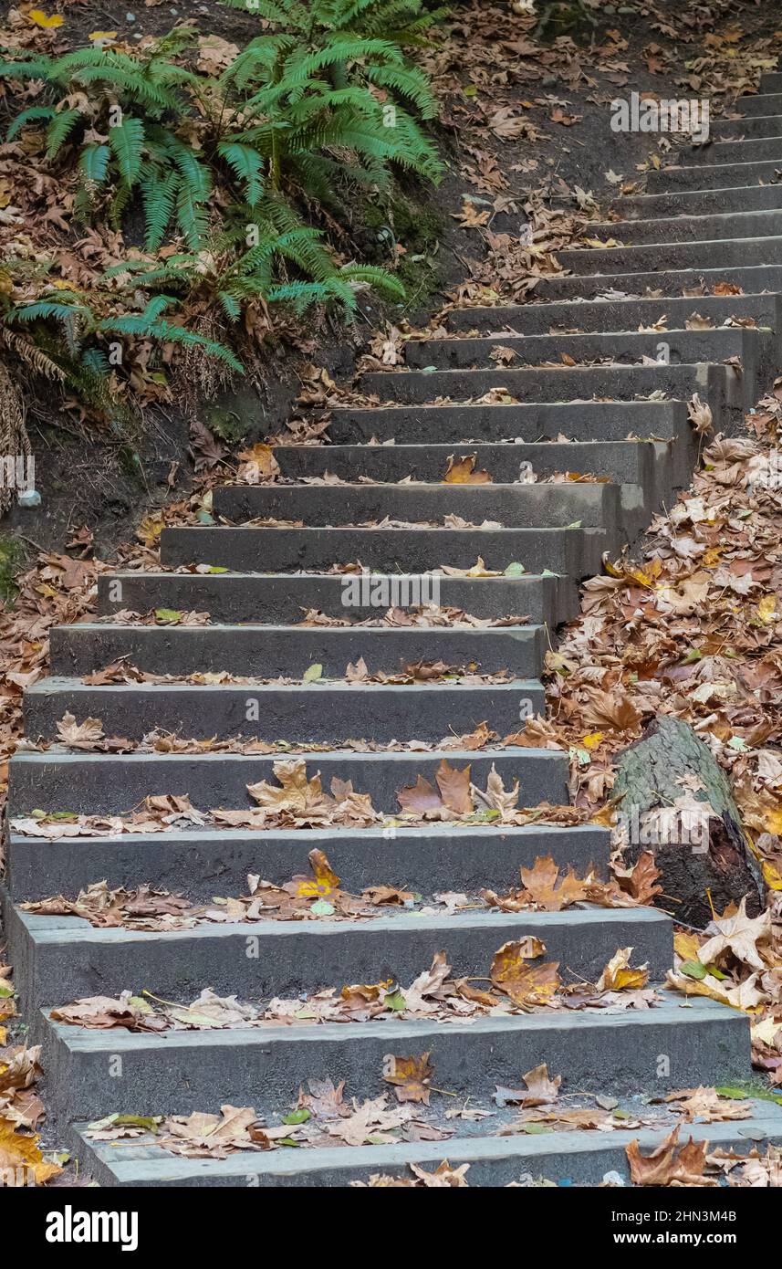 Cement staircase hi-res stock photography and images - Alamy