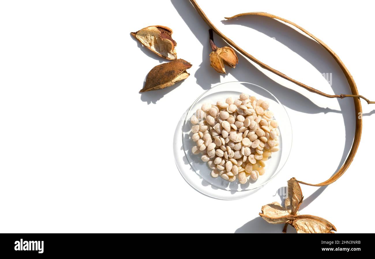 Cosmetic Chemical in chemical watch glass. Sumac Wax is a natural ...