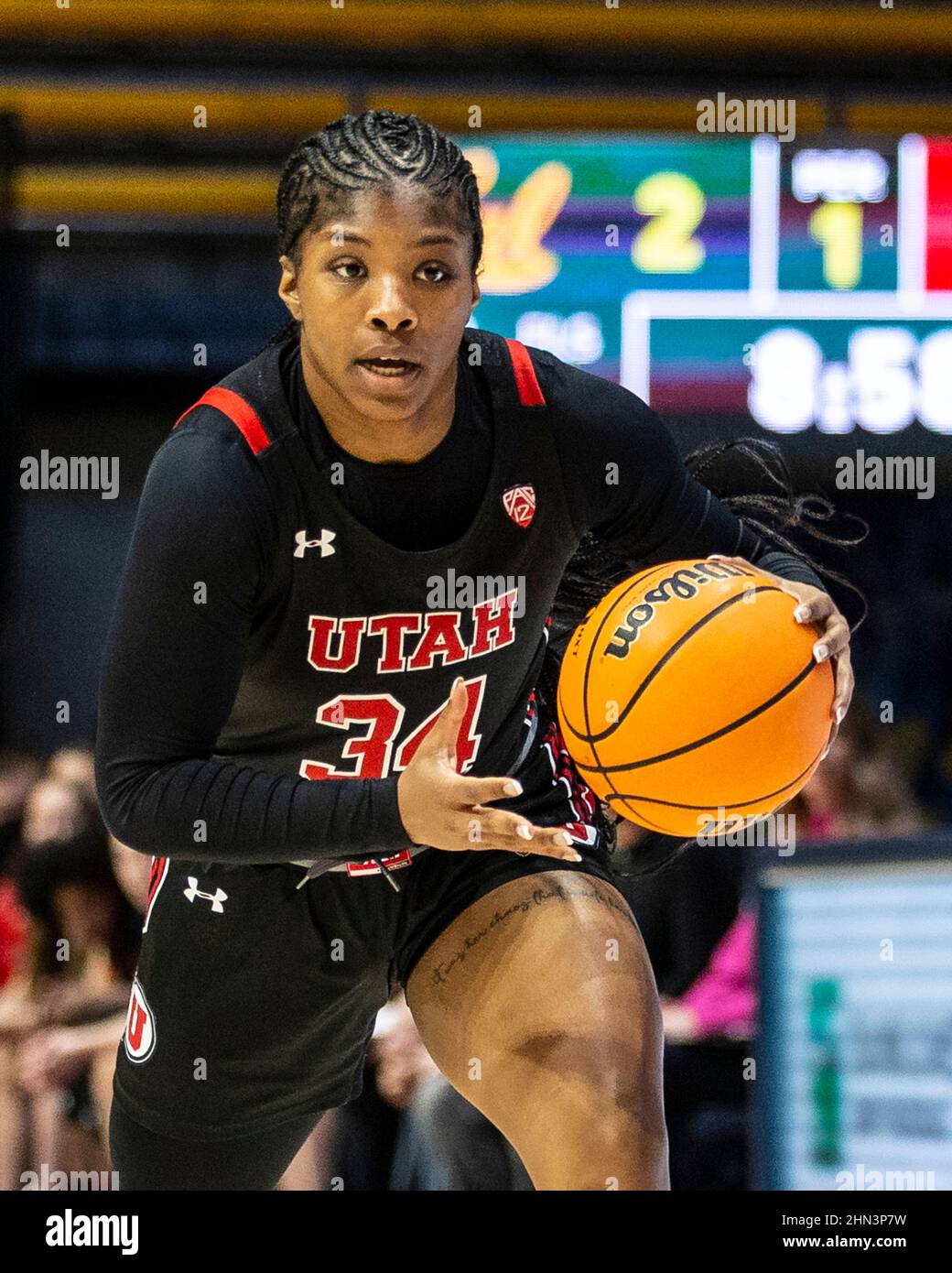 2022 008 jpg hi-res stock photography and images - Alamy