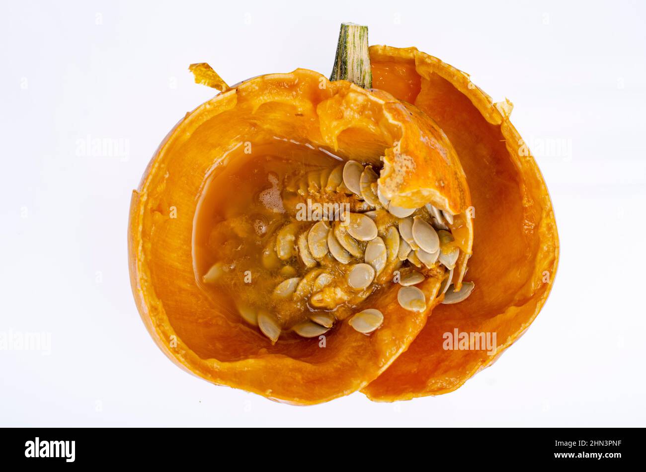 Rotten squash hi-res stock photography and images - Alamy