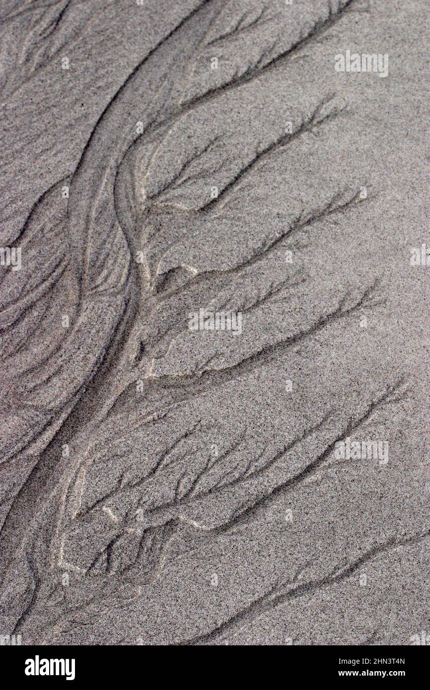 Water pattern on the beach Stock Photo - Alamy