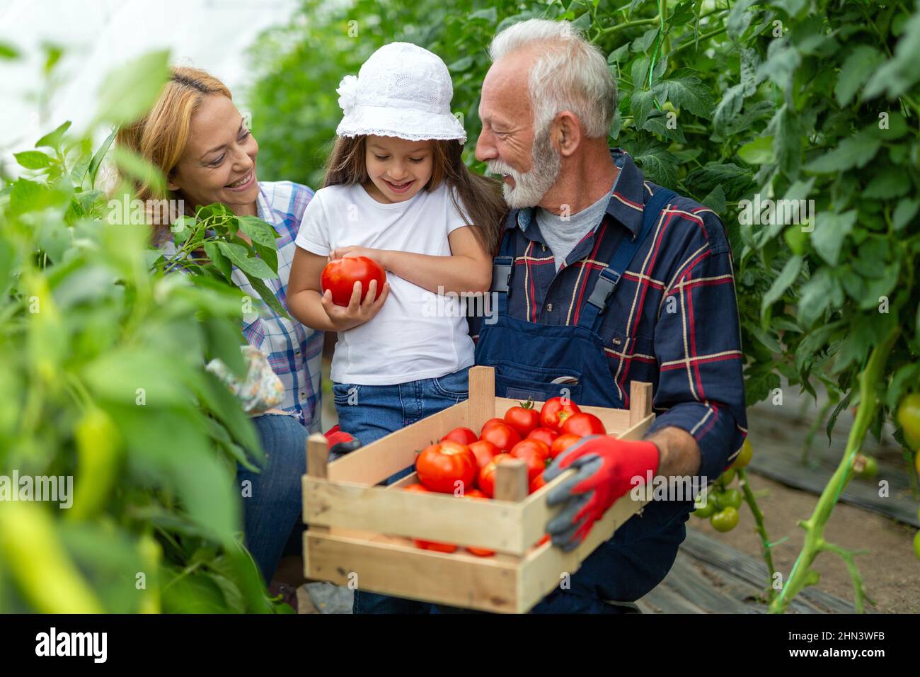 Family working together in greenhouse. Portrait of grandfather, child ...
