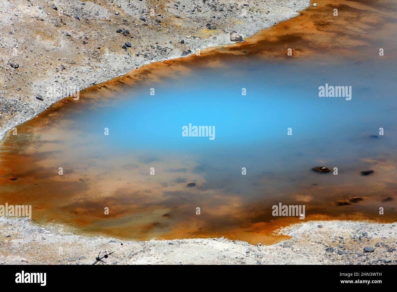 Bacterial pool hi-res stock photography and images - Alamy
