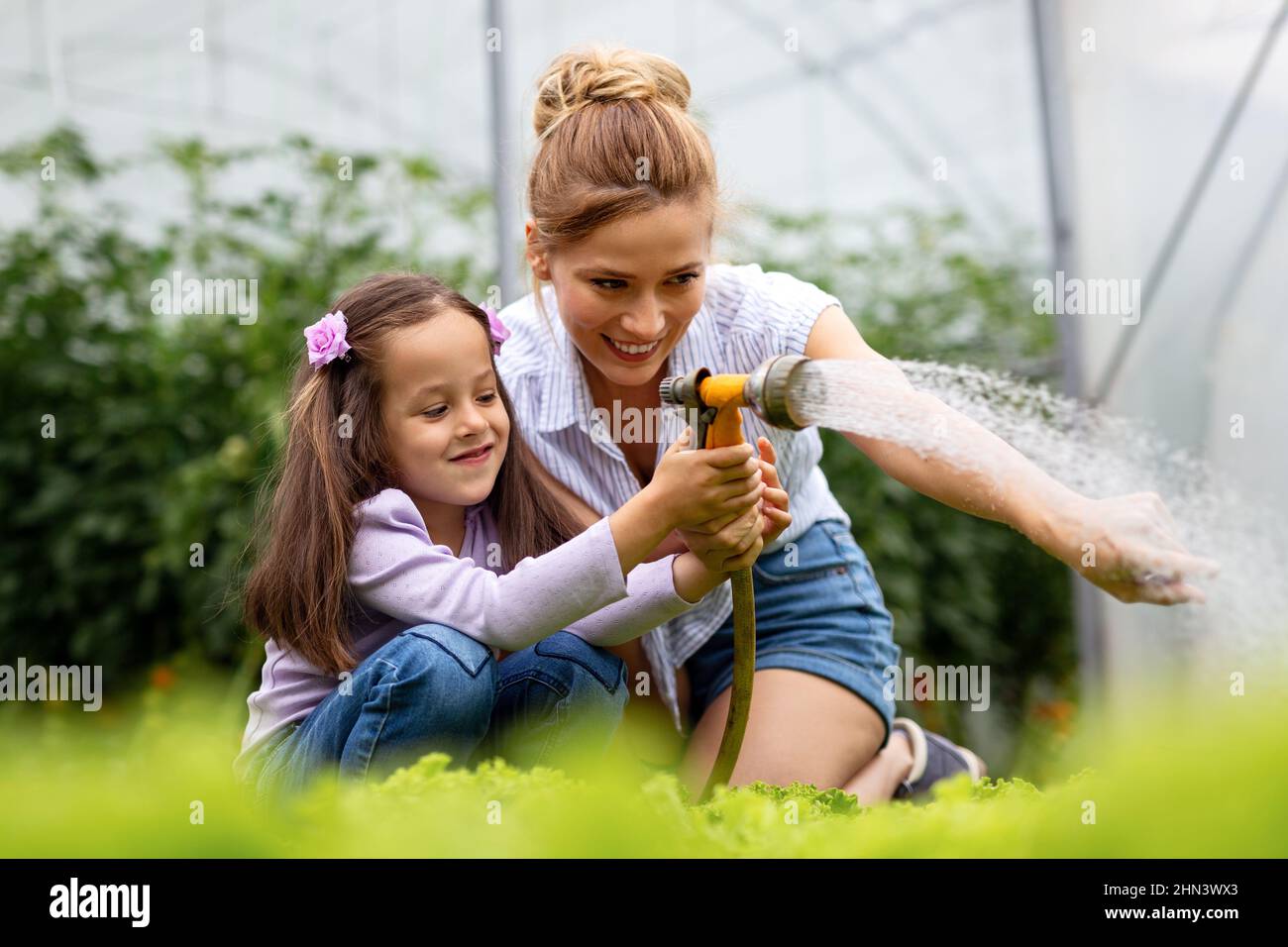 Happy family working in organic greenhouse. Woman and child growing bio ...