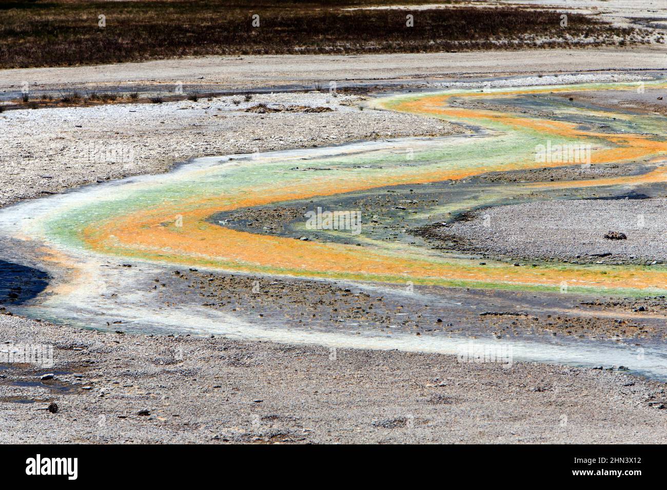 Whirligig Geyser Runoff, bacterial mats, Porcelain Basin, part of the ...