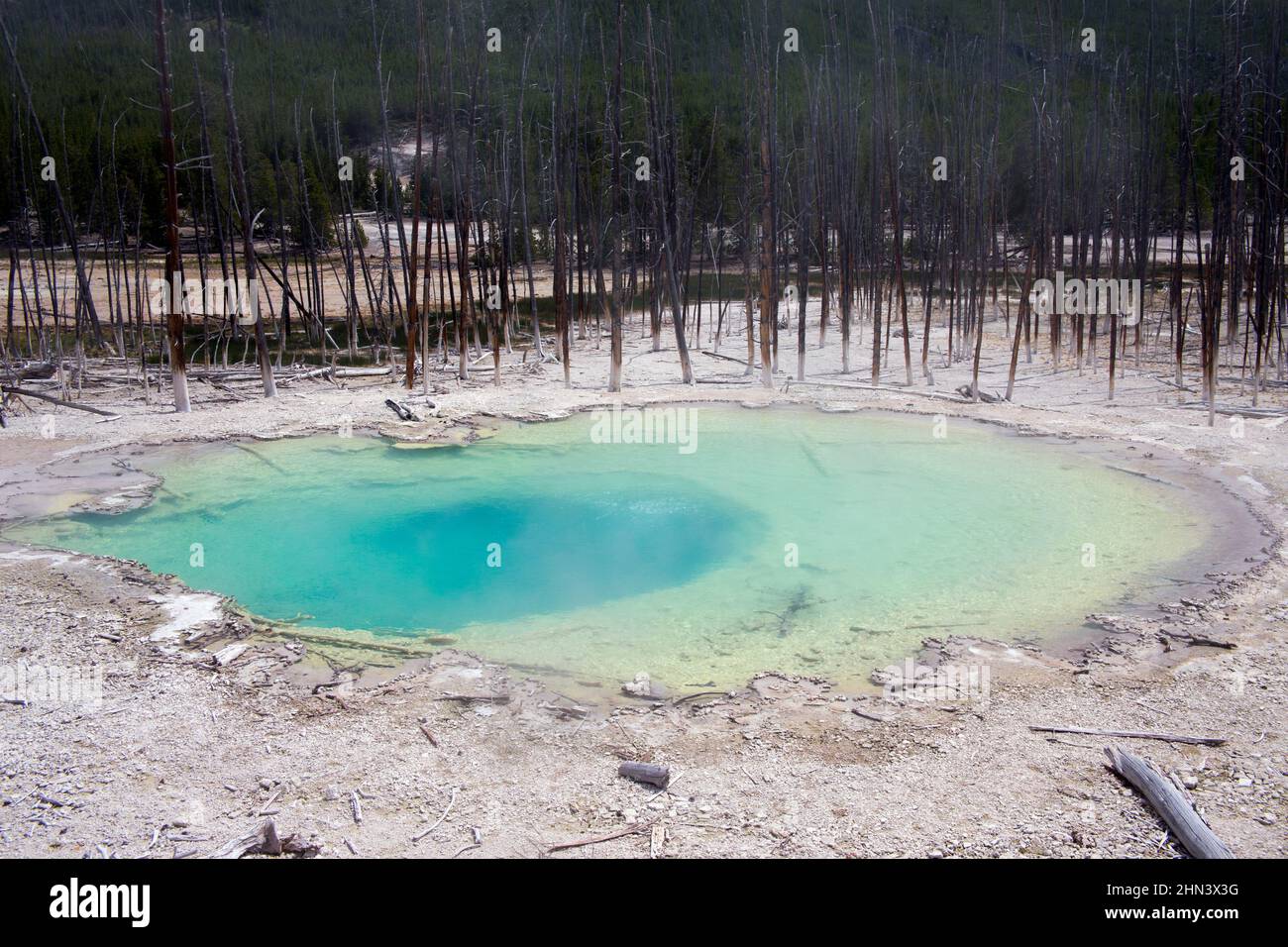 Cistern Pool, hot spring, Norris Geyser Basin, Yellowstone NP, Wyoming ...