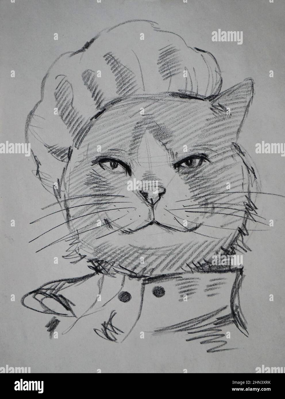Free time, light and shadow line drawing, cute cat , meaow Stock Photo ...