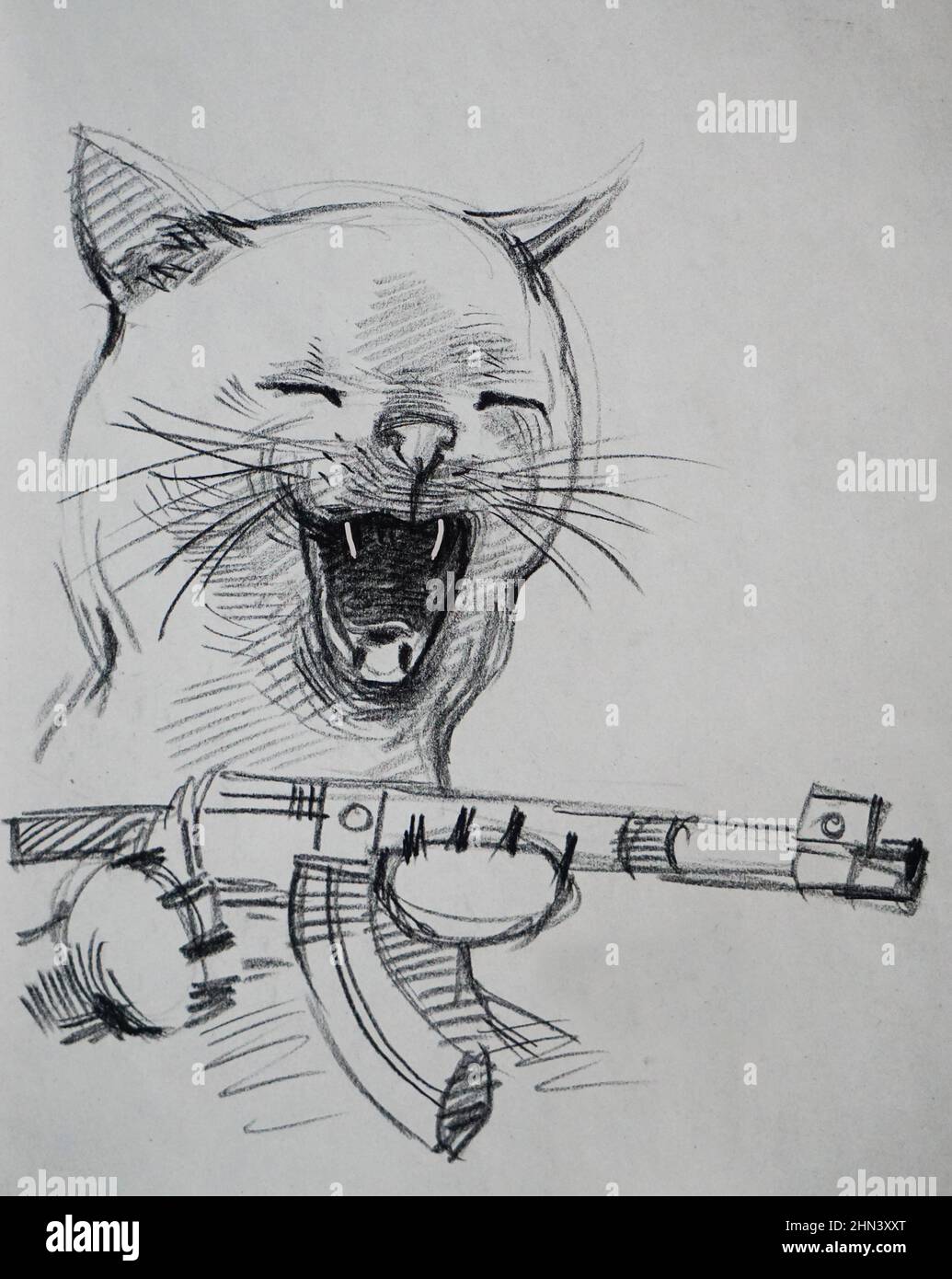 Free time, light and shadow line drawing, cute cat , meaow Stock Photo ...