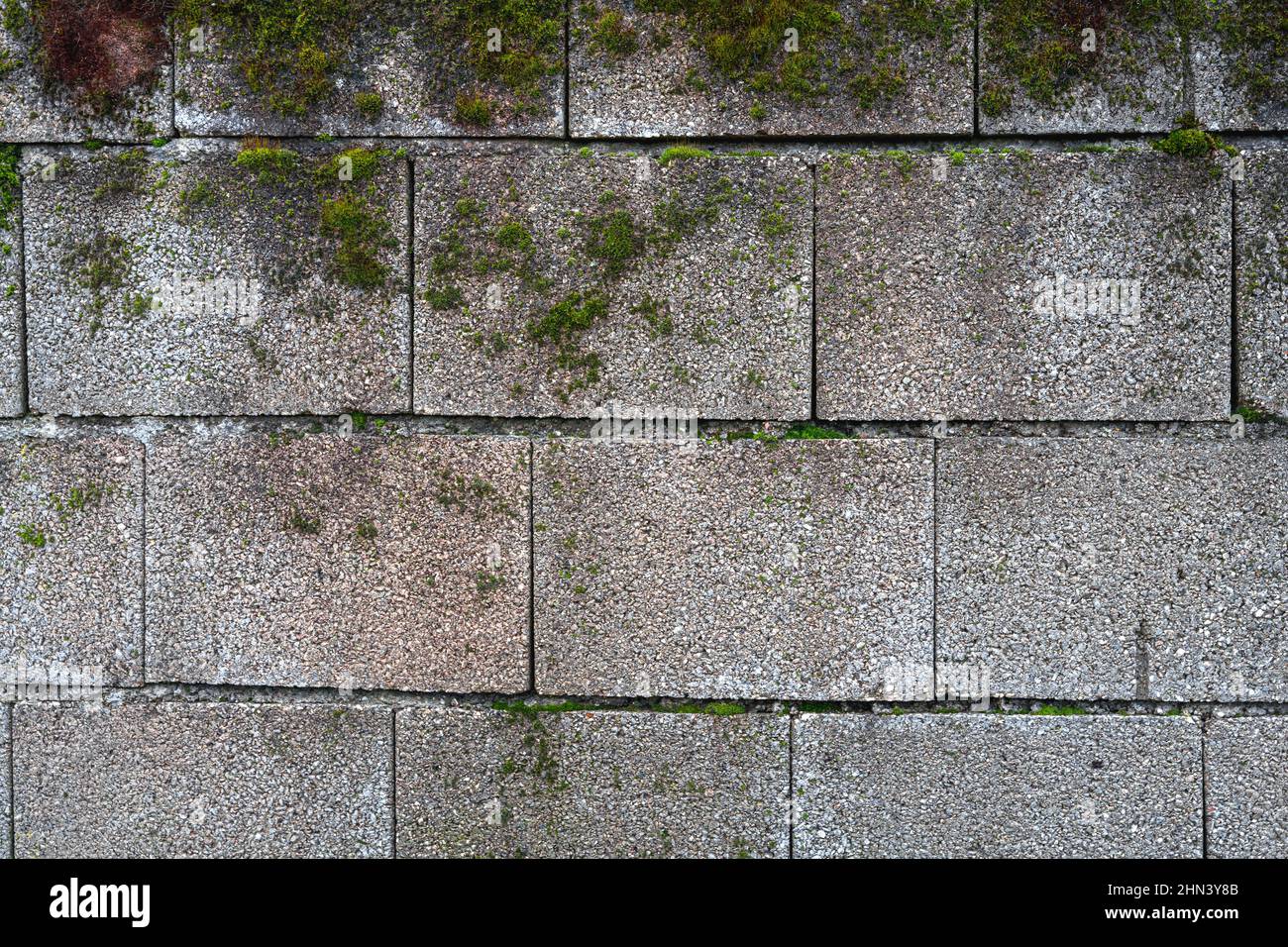 Moss concrete block hi-res stock photography and images - Alamy